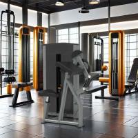 China AX03 Biceps Machine 182kg Commercial Gym Equipment with Pin Load Selection 1180x835x1360mm for sale