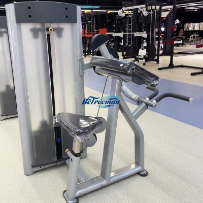 China Commercial Pin Loaded Biceps Curl Machine 1120x820x1440mm for Arms Strength Training and Body Building for sale
