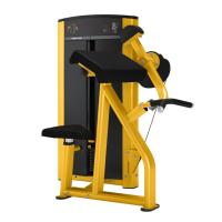 China AX03 Biceps Machine 182kg Commercial Gym Equipment with Pin Load Selection 1180x835x1360mm for sale