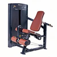 China Commercial Leg Extension Pin Loaded Machine for Gym Use - Heavy Duty Construction with 20-30 Day Delivery for sale