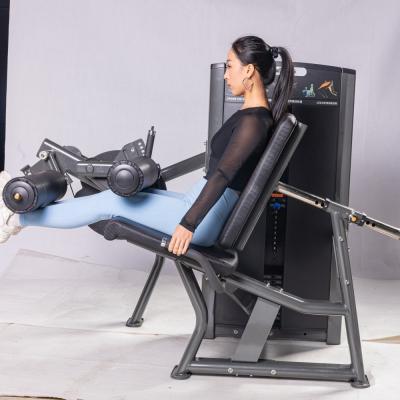 China Seated Pin-Loaded Leg Extension & Curl Machine - Dual Function Fitness Equipment with 20-30 Day Delivery for sale