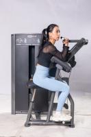 China AX05 Commercial Biceps Triceps Machine 80.25kg Weight Stack 1240x1090x1350mm Dual Function Fitness Equipment for sale