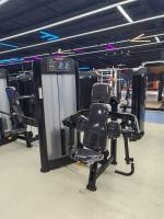 China FR-11 Commercial Biceps Machine 1600×1300×1750mm with 140kg Weight Stack for Gym Training for sale
