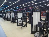 China FR-11 Commercial Biceps Machine 1600×1300×1750mm with 140kg Weight Stack for Gym Training for sale