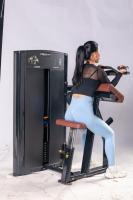 China Seated Bicep Curl Machine Pin Loaded with Self-Aligning Handles 80kg Weight Stack Commercial Gym Equipment for sale