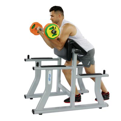 China FR-33 Arm Curl Bench 1170×800×1080mm Pin Load Gym Equipment with 56kg Weight Stack for sale