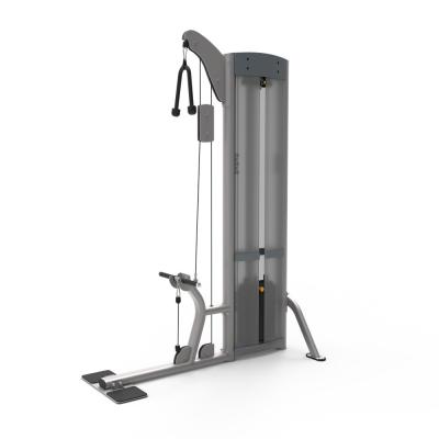 China AT05 Steel Bicep Curl Machine 175kg with 80kg Weight Stack for Commercial Gym Training for sale