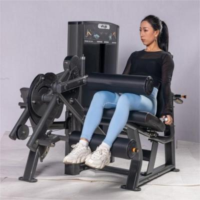 China AX07 Commercial Seated Leg Curl & Extension Machine 1780×1170×1350mm with 80.25kg Weight Stack for sale