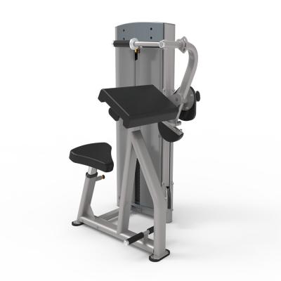 China Befreeman AT04 Pin Loaded Triceps Machine 94.75kg Weight Capacity for Commercial Gym Strength Training for sale