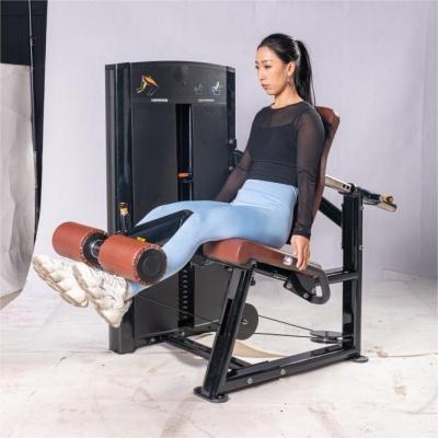 China Custom Commercial Leg Extension Machine Pin Loaded Plate Loaded Fitness Equipment 80.25kg Weight Stack for sale