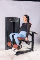 China Custom Commercial Leg Extension Machine Pin Loaded Plate Loaded Fitness Equipment 80.25kg Weight Stack for sale