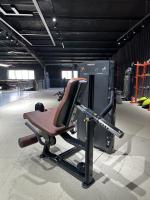 China Custom Commercial Leg Extension Machine Pin Loaded Plate Loaded Fitness Equipment 80.25kg Weight Stack for sale