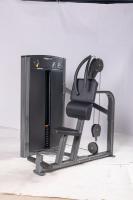 China Abdominal Crunch Gym Station Multi-Function Single Station Machines for Ab/Back Workout for sale