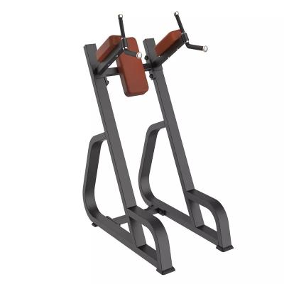 China Befreeman FR-832 Vertical Knee Up/Dip Machine 1270×710×1600mm Commercial Gym Equipment for sale