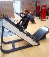 China FR-839 45 Degree Leg Press Machine 2170×1610×1260mm Commercial Plate Loaded Strength Training Equipment for sale