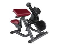China Commercial Pin Load Biceps Curl Machine FR-49 1600x1500x1200 mm for Gym for sale