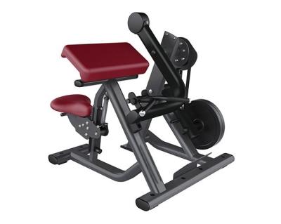 China Commercial Pin Load Biceps Curl Machine FR-49 1600x1500x1200 mm for Gym for sale