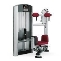 China Commercial Pin-Loaded Rotary Torso Machine 210kg Gym Equipment FR-21 for sale