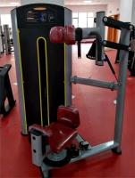 China Commercial Pin-Loaded Rotary Torso Machine 210kg Gym Equipment FR-21 for sale