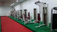 China Commercial Pin-Loaded Back Extension Machine 1500x1200x1750 mm Adjustable Abdominal Trainer for sale