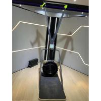 China Indoor Ski Simulator Machine for Cardio Training - Commercial Gym Equipment with 20-30 Day Delivery for sale