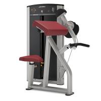 China Dual Function Gym Equipment Pin-Loaded Adjustable Shoulder Training Biceps Triceps Machine for sale