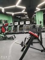 China Befreeman FR841 Leg Press Machine 1.7x0.8x1.3m Steel Construction Medium Loader Fitness Equipment for sale