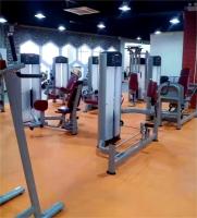 China Commercial Glute Kickback Machine FR-15 Pin Loaded Leg Press Gym Equipment 220kg for sale
