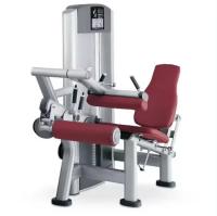 China Commercial Seated Leg Curl Machine FR-14 Pin Loaded Gym Equipment 1600x1200x1750 mm for sale