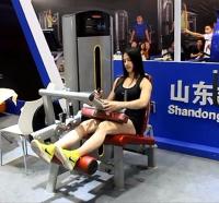 China Commercial Seated Leg Curl Machine FR-14 Pin Loaded Gym Equipment 1600x1200x1750 mm for sale