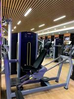 China Seated Leg Press Machine FR-08 Pin Loaded Adjustable Gym Equipment 160kg Commercial Use for sale