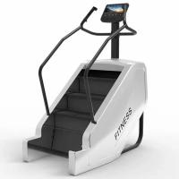 China FY-6500 Commercial Electric Stair Trainer 1220x710x1740mm with Multiple Resistance Levels for Gym Fitness for sale