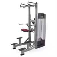 China Commercial Pin Loaded Pull-up Bar and Dipping Machine FR-07 2000x1400x2400 mm for Triceps Deltoids Workout for sale