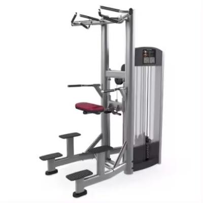 China Commercial Pin Loaded Pull-up Bar and Dipping Machine FR-07 2000x1400x2400 mm for Triceps Deltoids Workout for sale