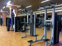 China Commercial Pin Loaded Pull-up Bar and Dipping Machine FR-07 2000x1400x2400 mm for Triceps Deltoids Workout for sale