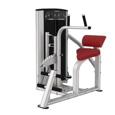 China AX11 Dual Function Back Extension Abdominal Machine 1460x1200x1360mm Steel Strength Training for sale