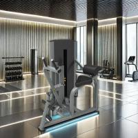 China AX11 Dual Function Back Extension Abdominal Machine 1460x1200x1360mm Steel Strength Training for sale