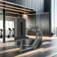 China Commercial Gym Equipment Low Row Strength Training Machine Pin Loaded AX13 80kg for sale