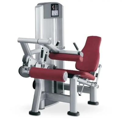 China Commercial Pin Loaded 2 in 1 Adjustable Seated Leg Extension Leg Curl Machine 230 kg for sale