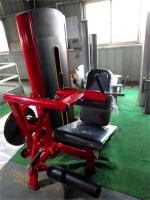 China Commercial Pin Loaded 2 in 1 Adjustable Seated Leg Extension Leg Curl Machine 230 kg for sale