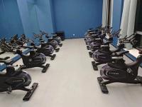 China Befreeman FY-9994 Spinning Bike 1350×600×1150mm 75KG Home Gym Fitness Equipment for sale