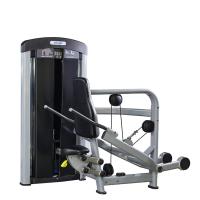 China Befreeman Commercial Tricep Pushdown Machine FR-910 80kg Weight Stack Gym Equipment for sale