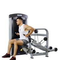 China Befreeman Commercial Tricep Pushdown Machine FR-910 80kg Weight Stack Gym Equipment for sale