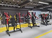 China Befreeman FM-13 Biceps Machine 160 kg Pin Loaded Triceps Press for Gym for sale
