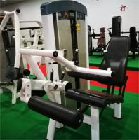 China FR-14 Commercial Pin Loaded Leg Curl Machine 1600×1200×1750mm with Adjustable Seated Calf Exercise for sale