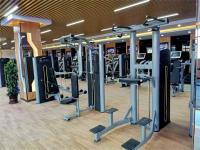China FR-14 Commercial Pin Loaded Leg Curl Machine 1600×1200×1750mm with Adjustable Seated Calf Exercise for sale