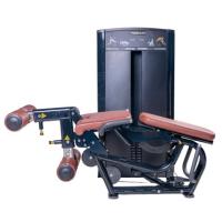 China AX09 Commercial Leg Extension & Prone Leg Curl Machine 1520×1115×1360mm with 80kg Weight Stack for sale