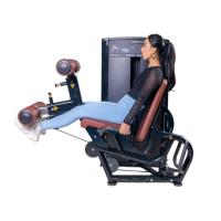 China AX09 Commercial Leg Extension & Prone Leg Curl Machine 1520×1115×1360mm with 80kg Weight Stack for sale