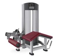 China FR-13 Commercial Pin Loaded Leg Extension & Prone Leg Curl Machine 1600×1200×1750mm 230kg for sale