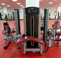 China FR-13 Commercial Pin Loaded Leg Extension & Prone Leg Curl Machine 1600×1200×1750mm 230kg for sale